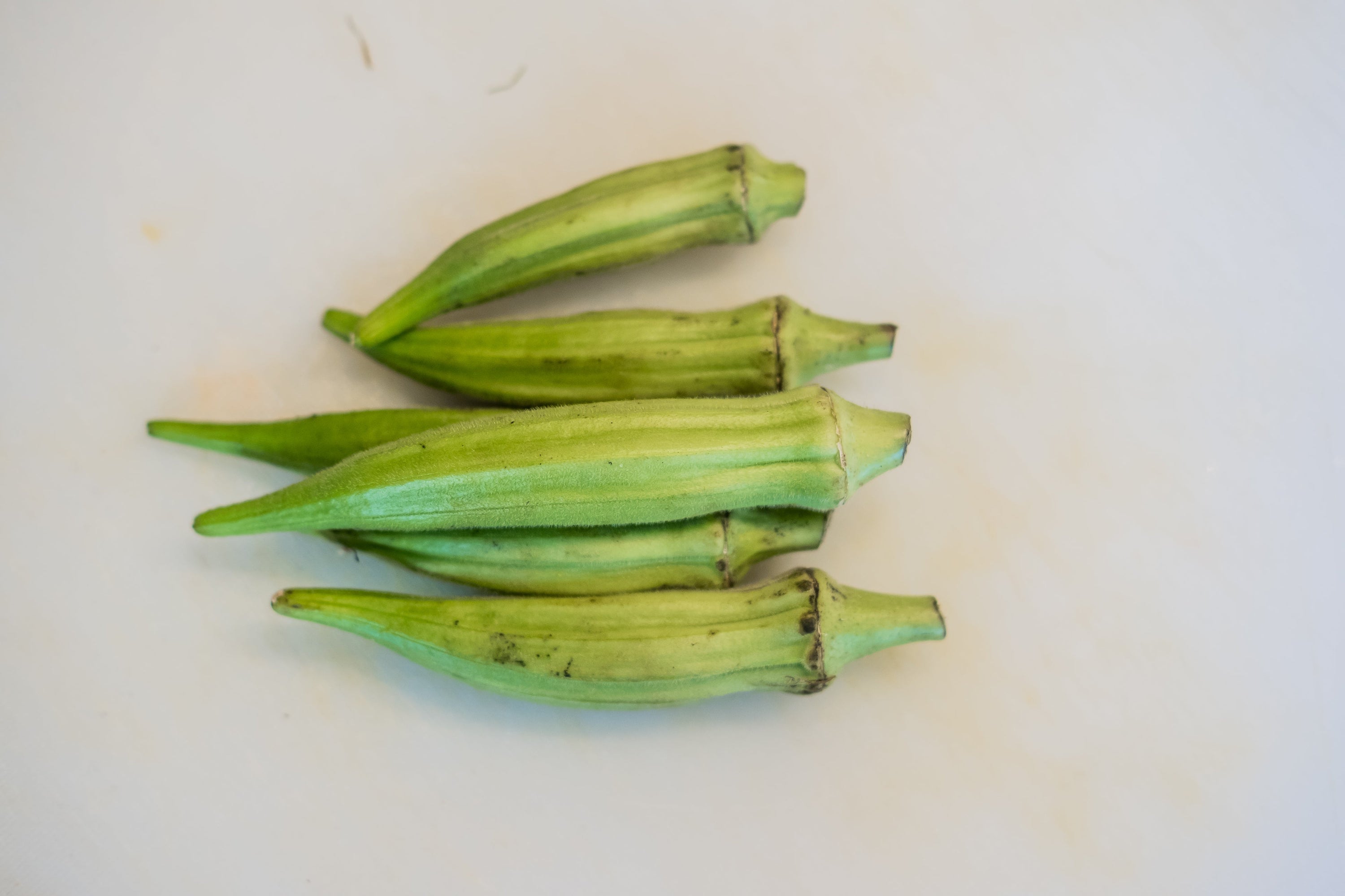 What is Okra? – Rafi's Spicebox